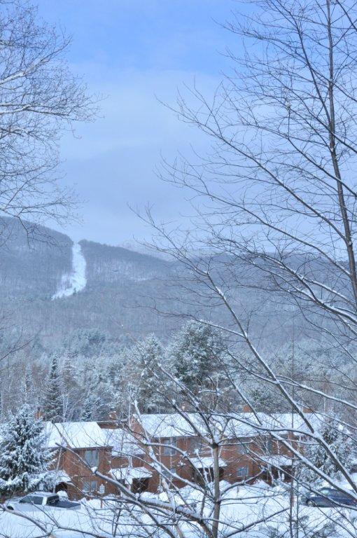 Summit Seasonal Rentals - The Summit at Gore Mountain